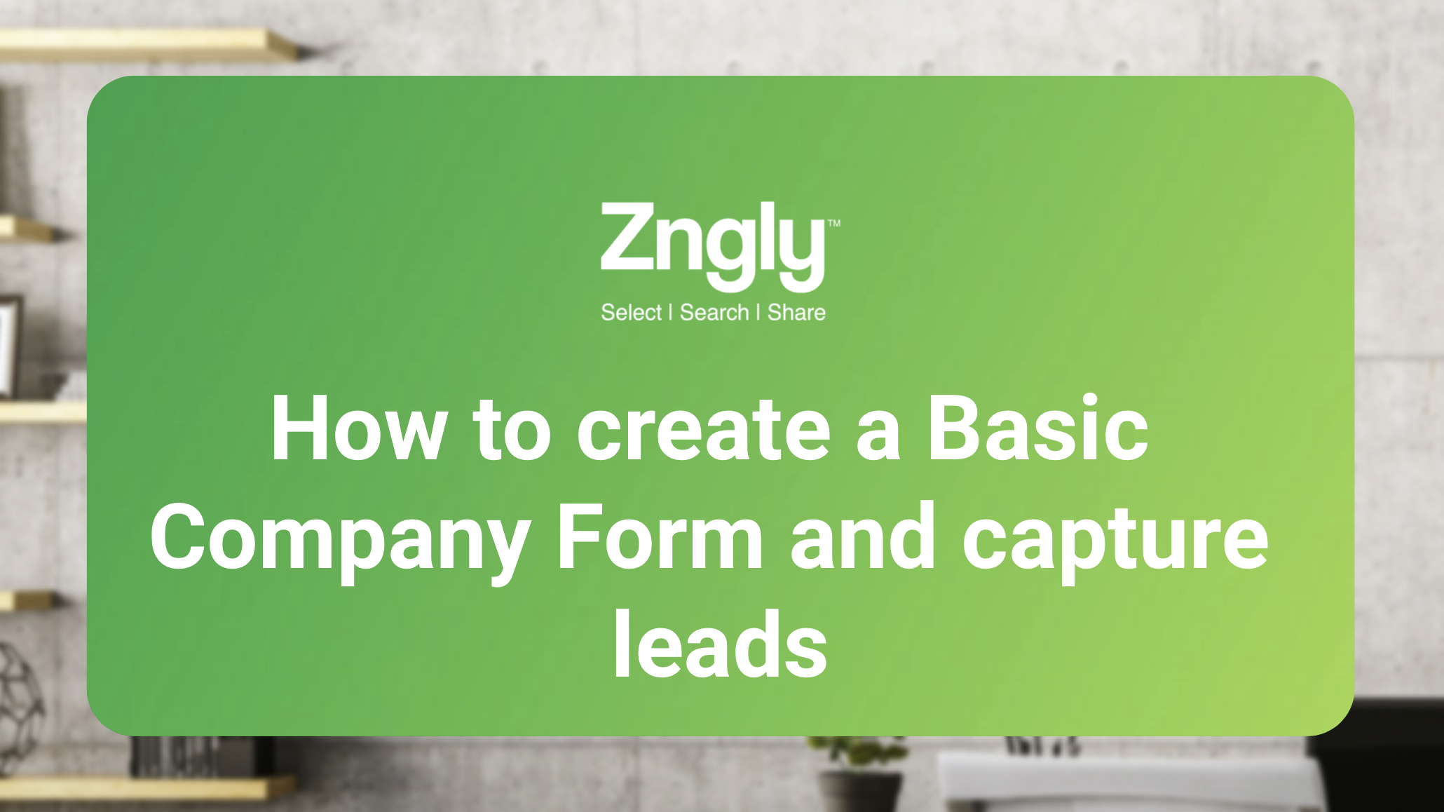 Academy Zngly | How to create a Basic Company Form and capture leads